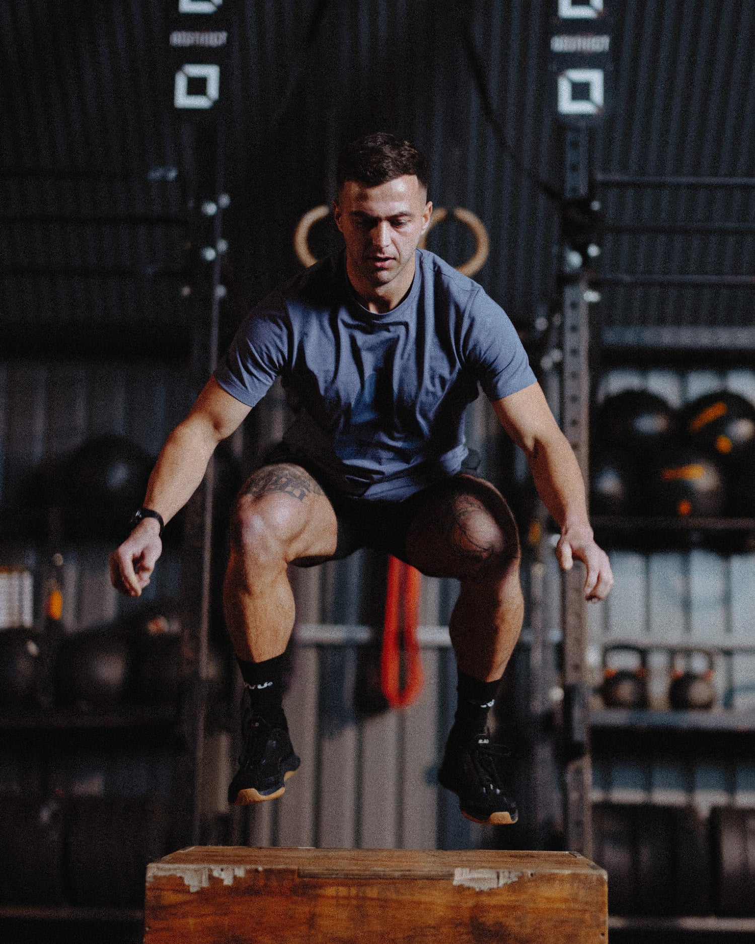 WIT is Training. – WIT Training